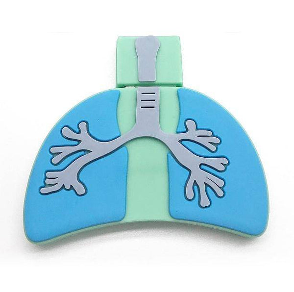 Body Parts Memory Stick | Cool Stationary